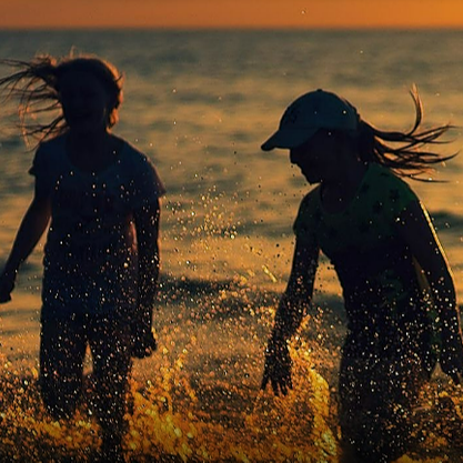 The Lingzhi Ganoderma Life | Instagram, Facebook | Linktree